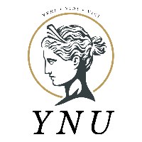 YNU | Upwork Company Profile - Hire Today