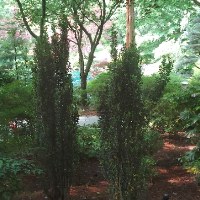 Uplevel Digital Agency | Upwork Company Profile - Hire Today