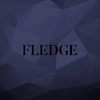 Fledge agency | Upwork Company Profile - Hire Today