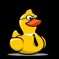 Rubber Duck Advisors | Upwork Company Profile - Hire Today