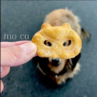 motion/commotion | Upwork