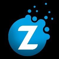 ZIT Solution | Upwork