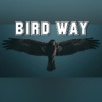 BIRDWAY | Upwork Company Profile - Hire Today