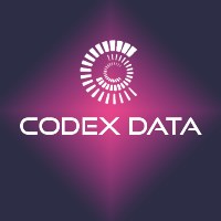 Codex Data | Upwork Company Profile - Hire Today