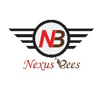 NEXUS BEES | Upwork Company Profile - Hire Today
