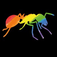 Rainbow Ant Studio | Upwork