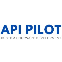 API Pilot | Upwork Company Profile - Hire Today