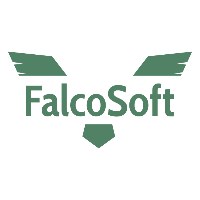 FalcoSoft | Upwork Company Profile - Hire Today