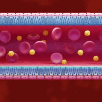 Medical Animation | Upwork