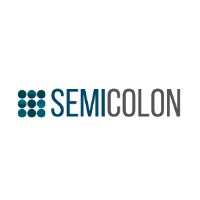 Semicolon | Upwork Company Profile - Hire Today