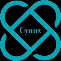 Cynux Solutions Private Limited | Upwork Company Profile - Hire Today