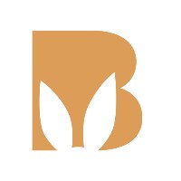 RISE RABBIT | Upwork Company Profile - Hire Today