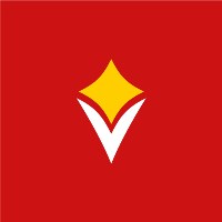 Vice Star Studio | Upwork