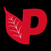 Project Palisade | Upwork Company Profile - Hire Today