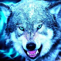 Wolf Crew | Upwork Company Profile - Hire Today