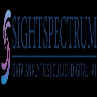SightSpectrum Technologies Solutions | Upwork Company Profile - Hire Today