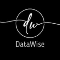 DataWise | Upwork Company Profile - Hire Today