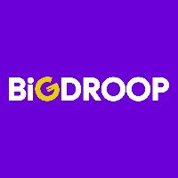 Bigdroop | Upwork Company Profile - Hire Today