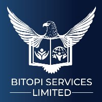 Bitopi Services Limited | Upwork Company Profile - Hire Today