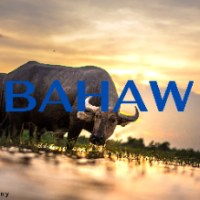 Marie Fe D. - Top Rated B2B Lead Generation |LinkedIn Outreach ...