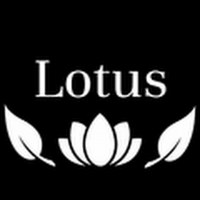 Lotus Marketing | Upwork Company Profile - Hire Today