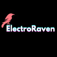 Electro Raven | Upwork Company Profile - Hire Today