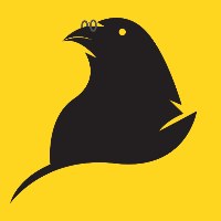 DigiCrow Media | Upwork Company Profile - Hire Today