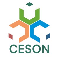 MS Celestial Software N Networks | Upwork Company Profile - Hire Today