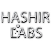 HASHIR LABS PVT LTD | Upwork Company Profile - Hire Today