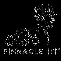 Pinnacle IIT | Upwork Company Profile - Hire Today