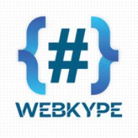 Webkype Info Services Private Limited | Upwork Company Profile - Hire Today