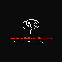 Datawise Software Solutions LLC | Upwork Company Profile - Hire Today