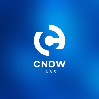 Cnow Labs | Upwork
