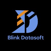 Blink Datasoft | Upwork Company Profile - Hire Today