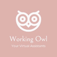 Working Owl - Your Virtual Assistants | Upwork Company Profile - Hire Today
