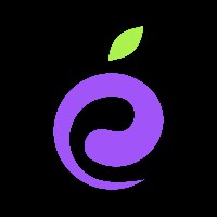 RippleBerry Tech | Upwork Company Profile - Hire Today