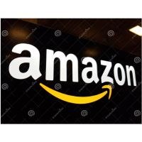 Riaz H. - Amazon FBA | Amazon PPC - Ranking and Sales Expert - Upwork ...