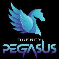 Agency Pegasus | Upwork Company Profile - Hire Today