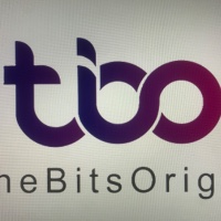 The Bits Origin | Upwork Company Profile - Hire Today