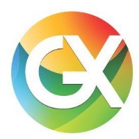 GenXcel Info Solutions Private Limited | Upwork Company Profile - Hire Today