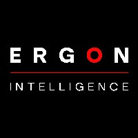 Ergon Intelligence | Upwork Company Profile - Hire Today