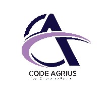 Code Agrius | Upwork Company Profile - Hire Today