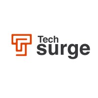 Tech Surge (United Kingdom) | Upwork Company Profile - Hire Today