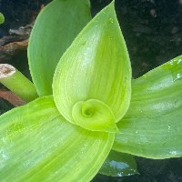 techNest Lab | Upwork Company Profile - Hire Today