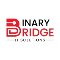 Binary Bridge IT Solutions | Upwork Company Profile - Hire Today