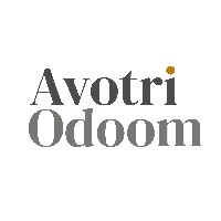 Kofi O. - Fractional CFO - Upwork Freelancer from Camp Hill, United States