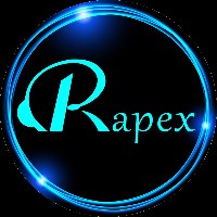 Rapex | Upwork Company Profile - Hire Today