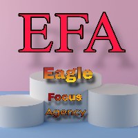 Eagle Focus Agency | Upwork Company Profile - Hire Today