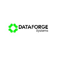 DataForge Systems | Upwork Company Profile - Hire Today