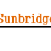 Sunbridge Software Services Pvt Ltd | Upwork Company Profile - Hire Today